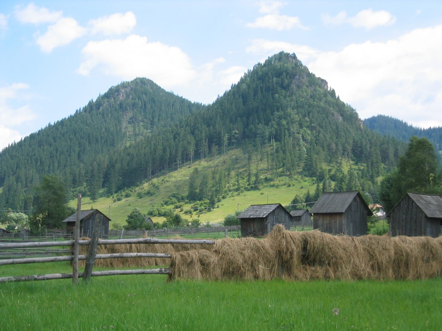 Pojorâta - Poschoritta Bukowina - Bukowinafreunde